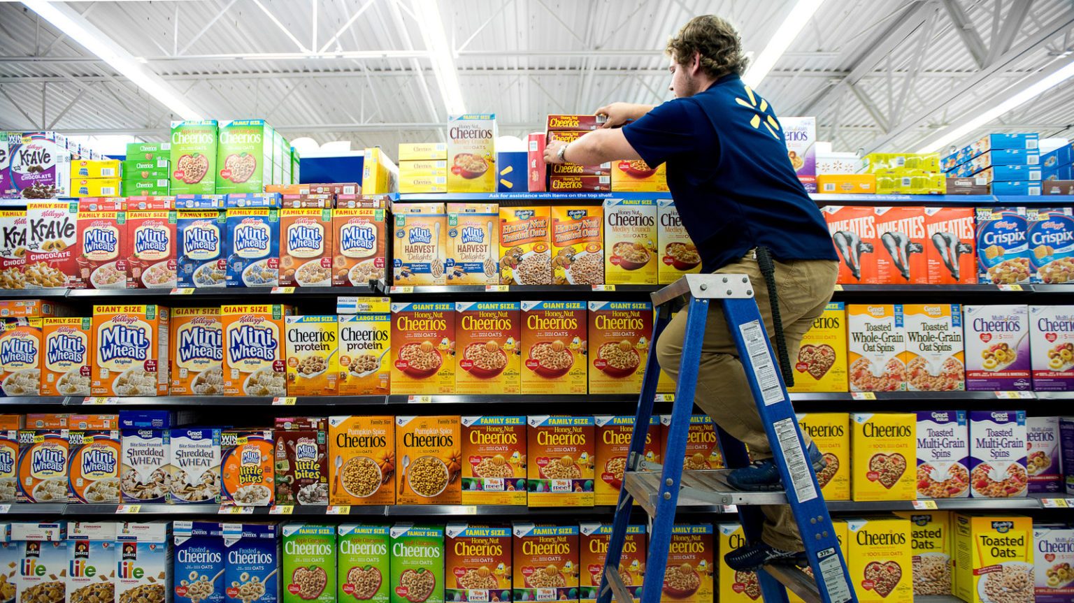 What Is Walmart Plus And How Does It Work JungleTopp What Is Walmart Plus And How Does It Work JungleTopp